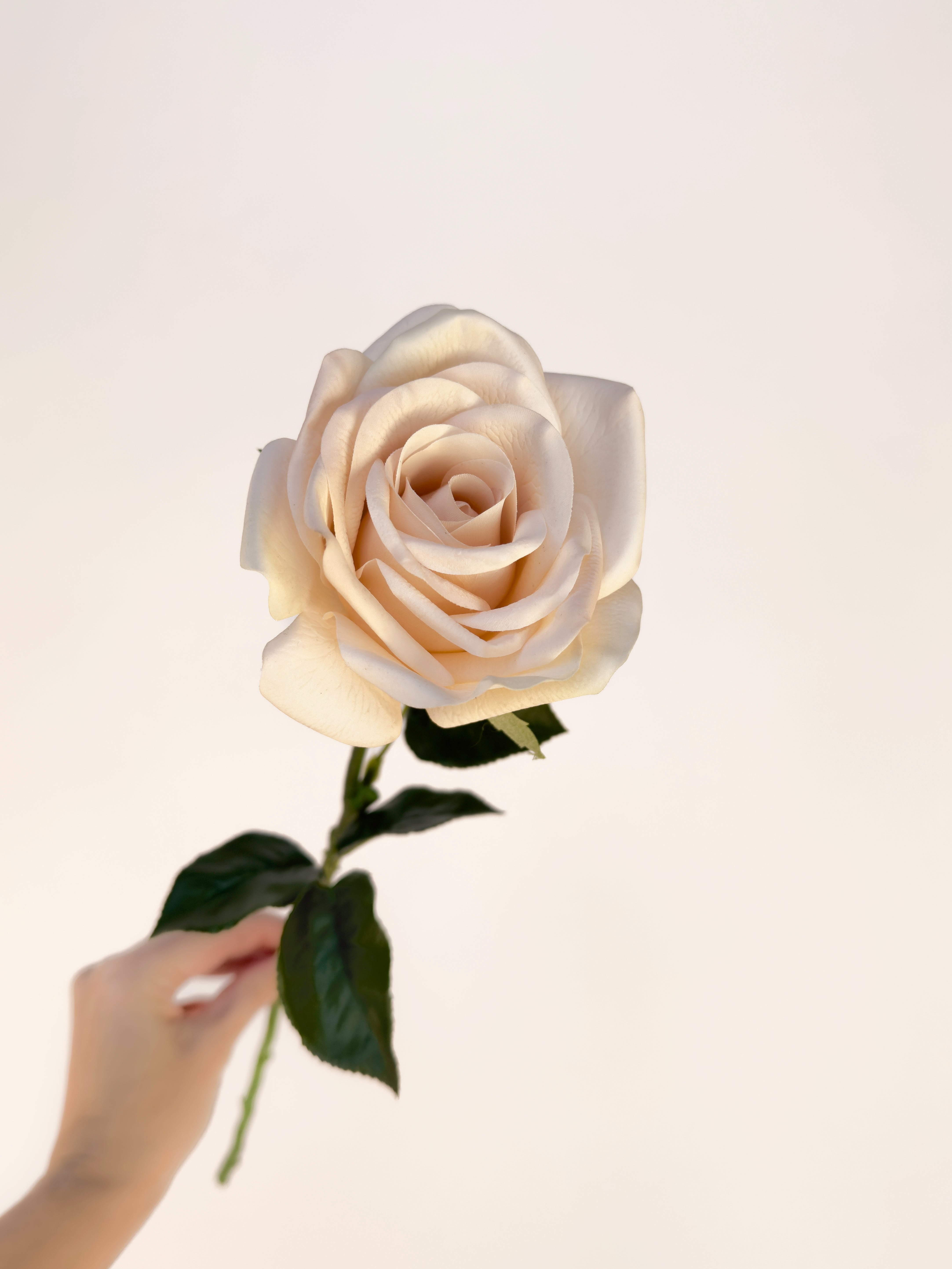 Sahara Rose -Artificial Real Touch – Better Blooms